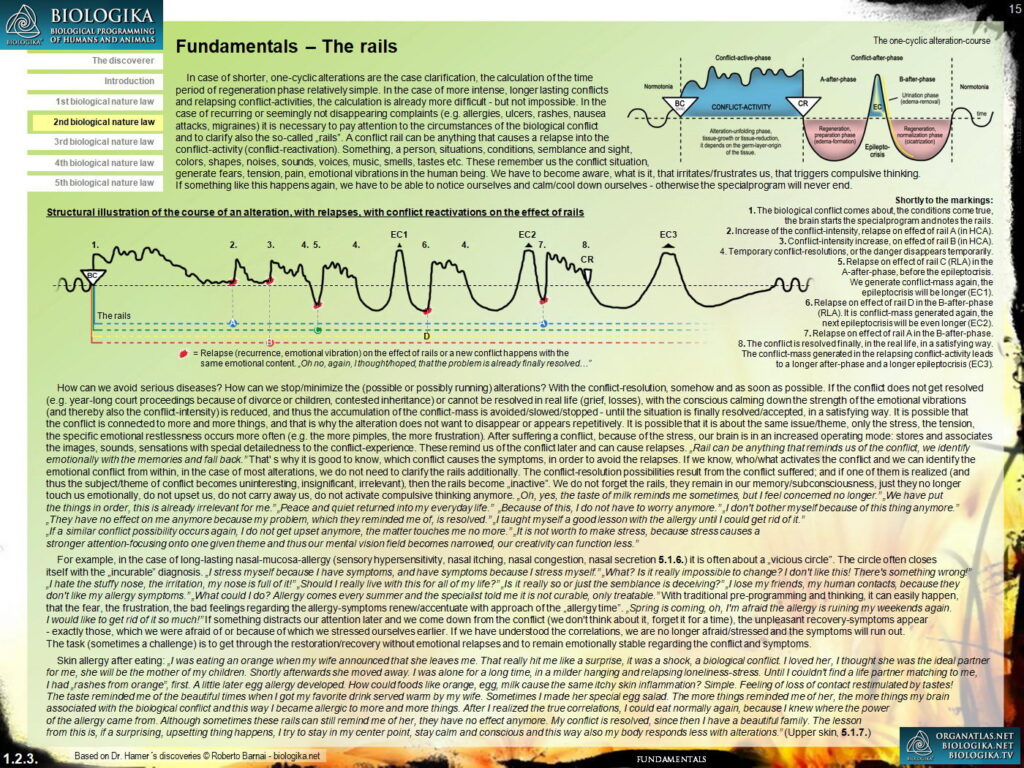 Biologika Szerv Atlasz képgaléria (angol) - Biologika Szerv Atlasz
