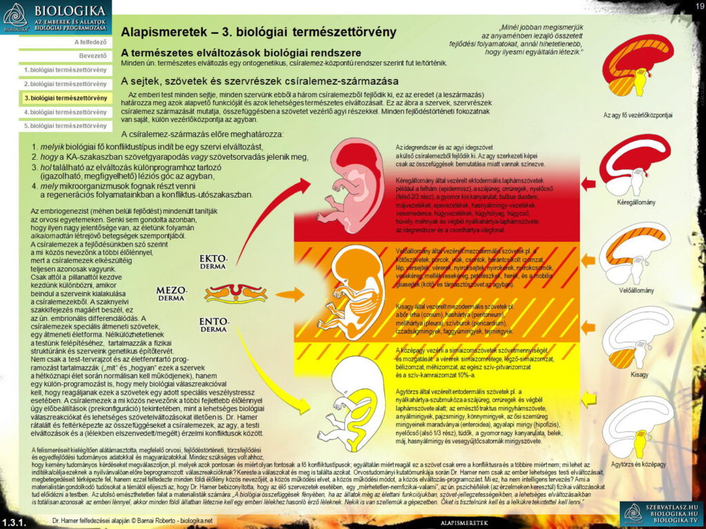 Biologika Szerv Atlasz képgaléria (magyar) - Biologika Szerv Atlasz
